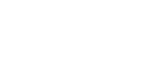 StoneFly Company Overview – About StoneFly